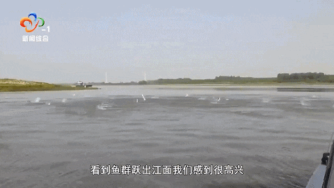 奋力书写长江经济带高质量发展的“武汉答卷”-武汉市生态环境局